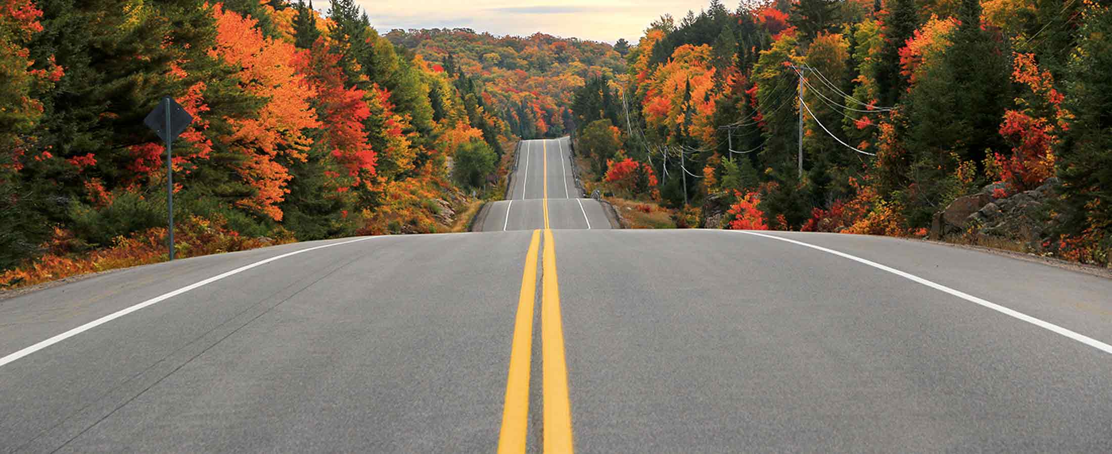 AutoJet Rent a Car Bulgaria :Rentacar.BG